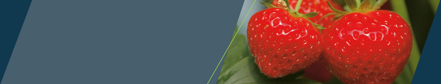 Bayer CropScience Norge